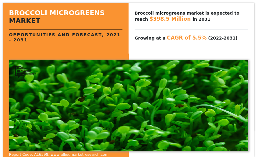 Broccoli Microgreens Market Size, Analysis | Forecast By 2031
