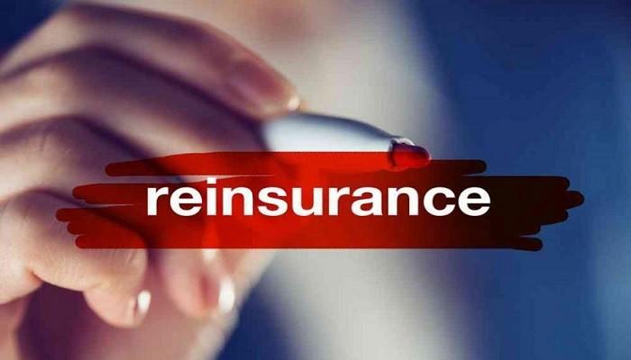 Reinsurance Market Size, Share | Future Trends and Growth by 2027