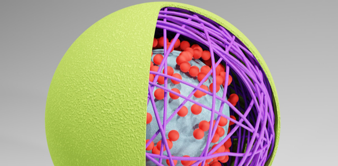 Polymeric Nanoparticles – An Advancement in Nanotechnology is extremely ...