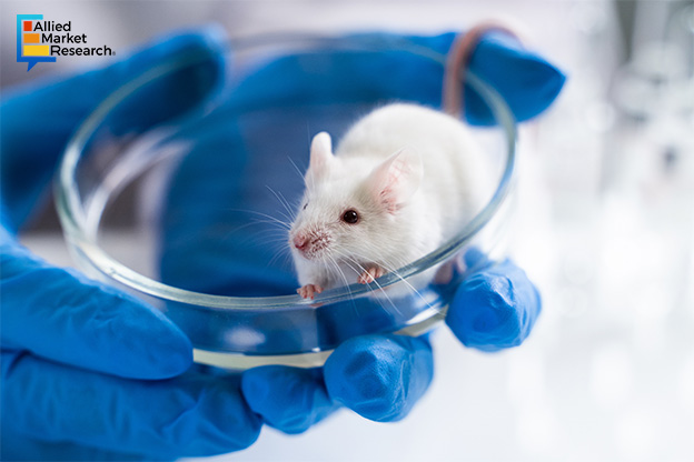 Discussing the Ethical Issue of Medical Testing on Animal Models and ...