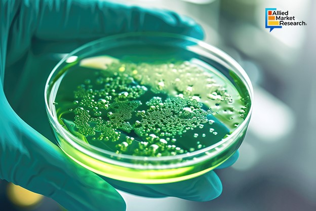 Advanced Molecular Biology in Microbial Identification: Improving ...