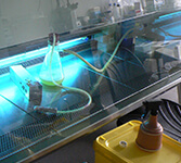 UV Light Stabilizer Market Share Rises by 70% Confirms an AMR Report