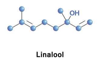 Increasing Awareness and the Varied Benefits Associated with Linalool ...