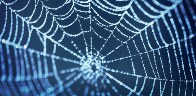What is syntheitic spider silks and what are their prime application areas?