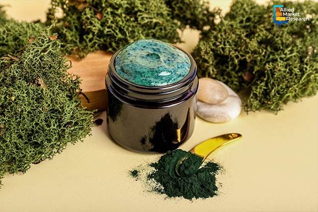 Which Seaweed Extract Trends Should Your Businesses Keep Track of?