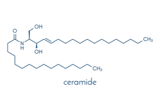 Ceramide has been the hero of your beautiful skin, Know How