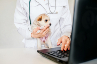 Future of Veterinary Software Lies with Automation and Cloud Technology