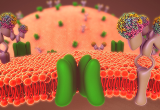 Membrane Microfiltration to Offer Ultra-Clear Water for Industrial ...