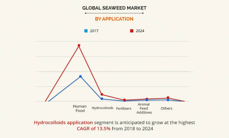 Seaweed Market Size, Share & Growth | Industry Analysis Report